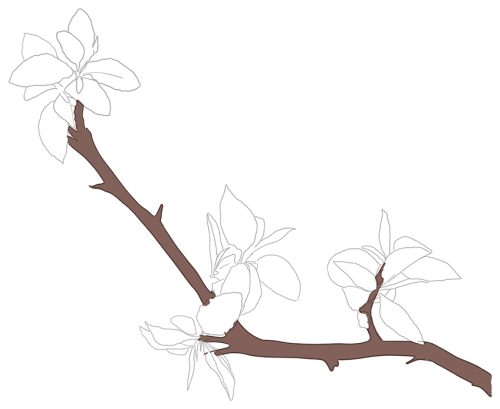 How to Draw a Tree Branch - Easy and Simple Tutorial