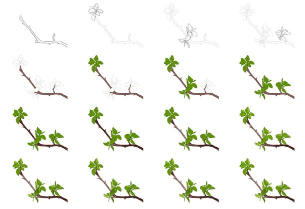 How to Draw a Tree Branch - Easy and Simple Tutorial