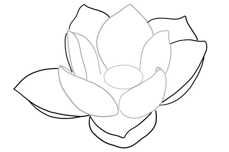 How to Draw a Lotus Flower - Create Your Own Lotus Sketch