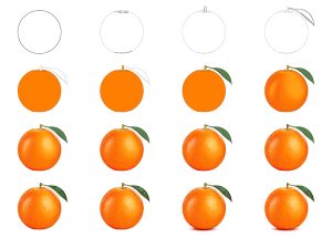How to Draw an Orange - A Juicy and Realistic Orange Drawing Tutorial