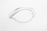 How to Draw Tears - Learn How to Make a Realistic Tear Drop Drawing