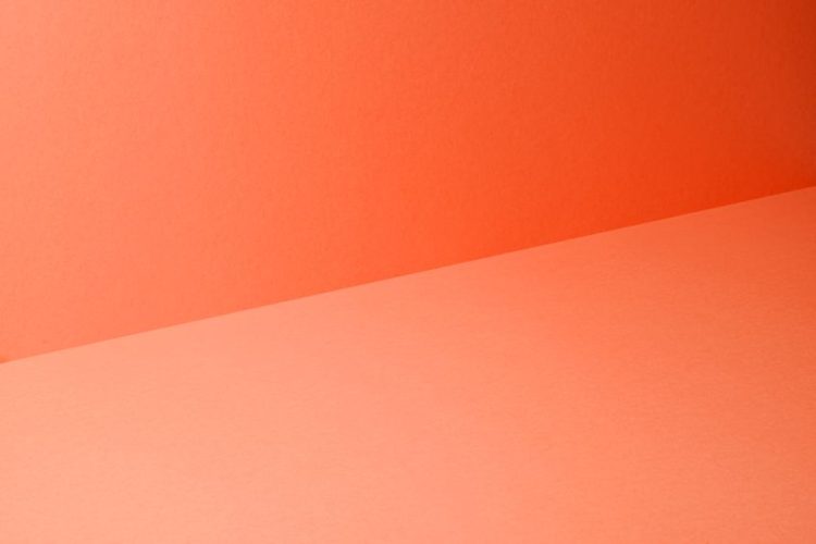 Coral Color - What Color Is Coral and What Colors Go With Coral?