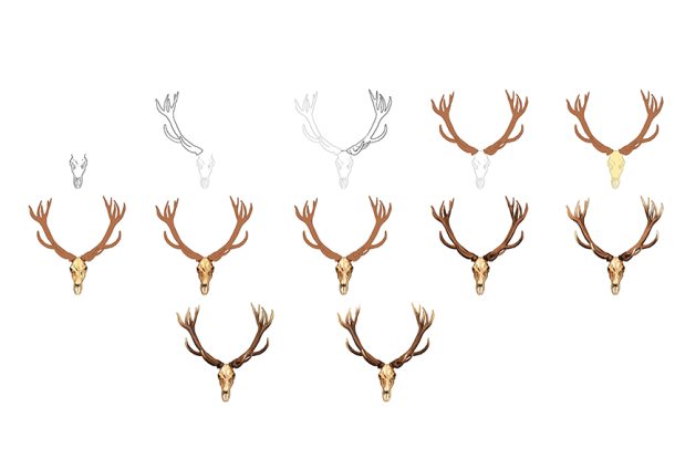 How to Draw a Deer Skull - A Realistic Deer Skull Drawing Tutorial