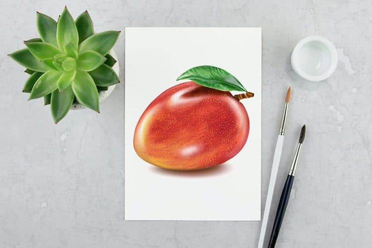 How to Draw a Mango - An Easy Mango Drawing Tutorial for Beginners