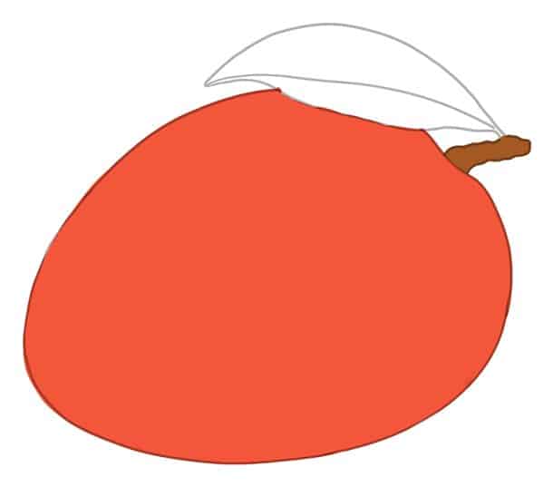 How to Draw a Mango - An Easy Mango Drawing Tutorial for Beginners