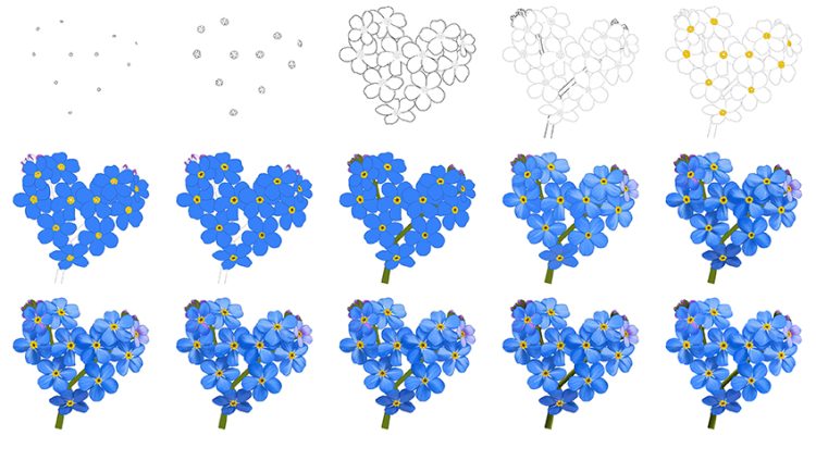 How to Draw a Forget-Me-Not Flower - Real Forget-Me-Not Sketch