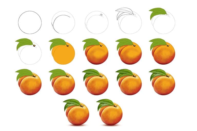 How to Draw a Peach - An Easy Step-by-Step Peach Illustration Tutorial