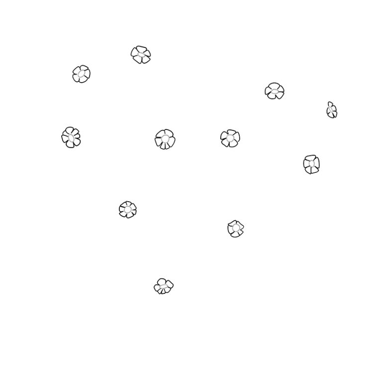 How to Draw a Forget-Me-Not Flower - Real Forget-Me-Not Sketch