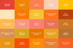 Shades of Orange - 100 Tones Including All Color Codes