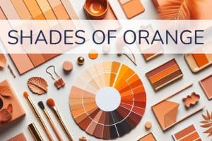 Shades of Orange - 100 Tones Including All Color Codes