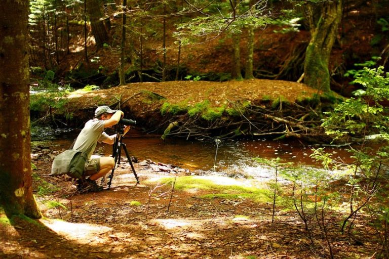 Famous Nature Photographers - Best Natural Photography Artists