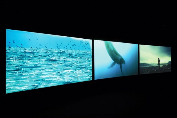 Environmental Artists - Discover the Top Environmental Art Pieces
