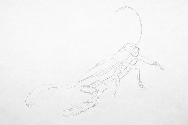 How to Draw a Scorpion - Easy Steps to Create a Realistic Drawing