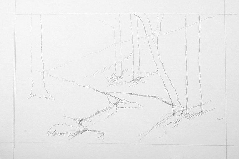 How to Draw a Forest - Step-by-Step Drawing Tutorial