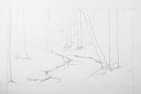 How to Draw a Forest - Step-by-Step Drawing Tutorial