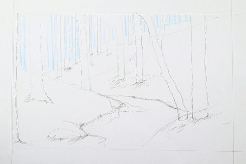 How to Draw a Forest - Step-by-Step Drawing Tutorial