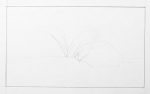 How to Draw Grass - A Step-by-Step Drawing Guide