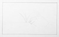 How to Draw Grass - A Step-by-Step Drawing Guide