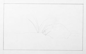 How to Draw Grass - A Step-by-Step Drawing Guide