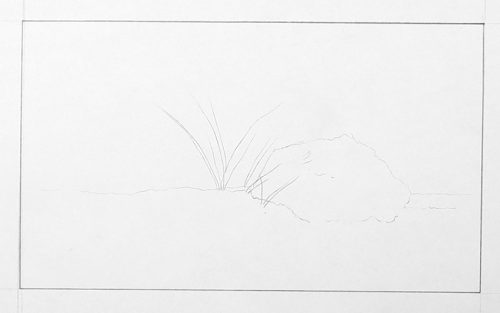 How to Draw Grass - A Step-by-Step Drawing Guide