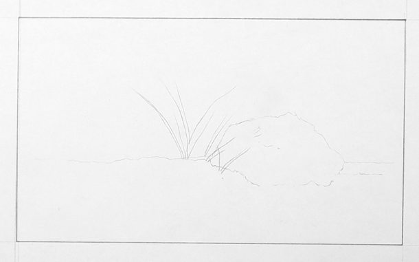 How to Draw Grass - A Step-by-Step Drawing Guide