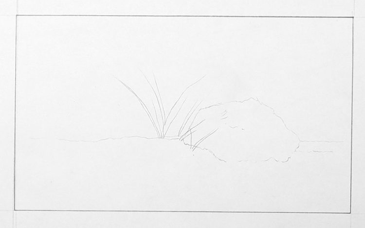 How to Draw Grass - A Step-by-Step Drawing Guide