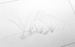 How to Draw Grass - A Step-by-Step Drawing Guide