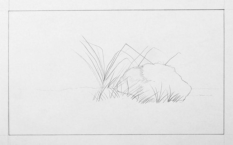 How to Draw Grass - A Step-by-Step Drawing Guide