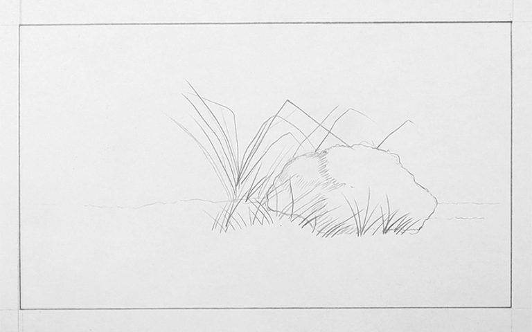 How to Draw Grass - A Step-by-Step Drawing Guide