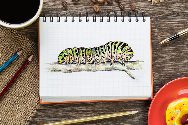 Hard Things to Draw - Challenging Yourself to Difficult Drawings