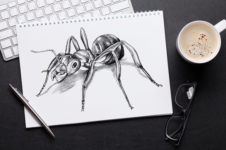 Hard Things to Draw - Challenging Yourself to Difficult Drawings
