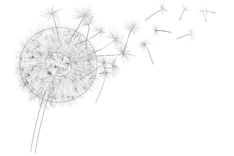 Flower Coloring Pages - 15 Free Flower Pictures to Print and Color