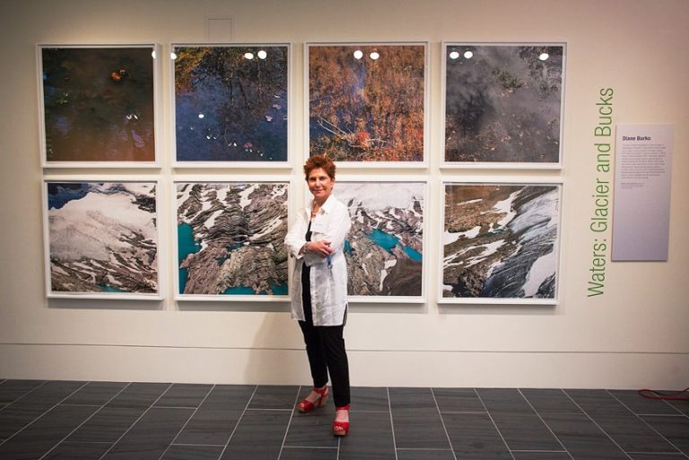 Environmentalism Art - The Importance of Climate Change Art