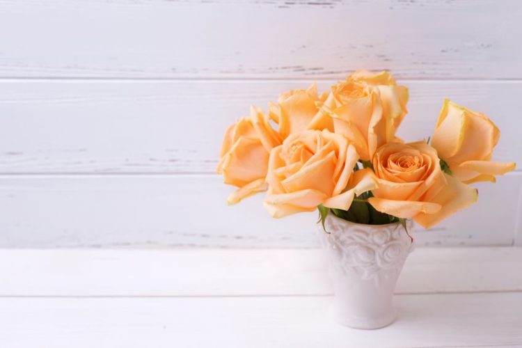 Peach Color - Exploring Different Shades of Light Peach Color