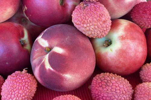 Peach Color - Exploring Different Shades of Light Peach Color