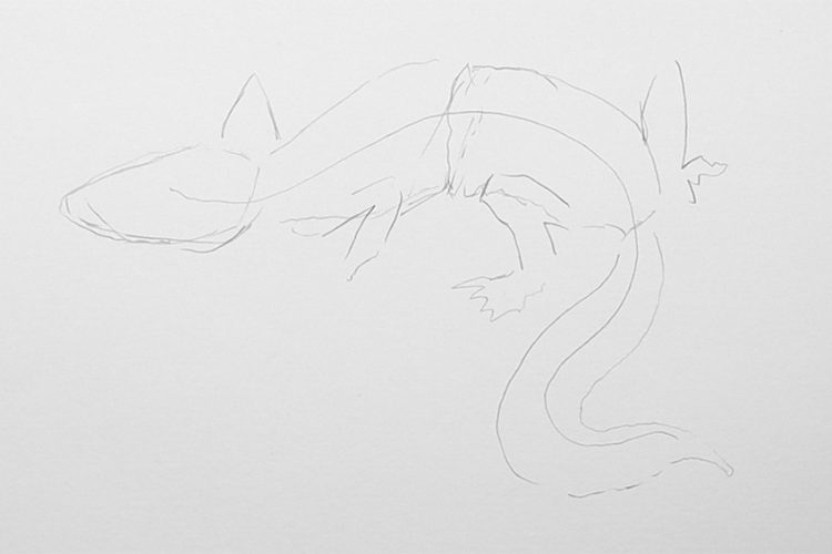 How to Draw a Lizard – Create a Realistic Lizard Drawing