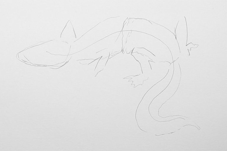 How to Draw a Lizard – Create a Realistic Lizard Drawing