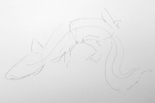 How to Draw a Lizard – Create a Realistic Lizard Drawing