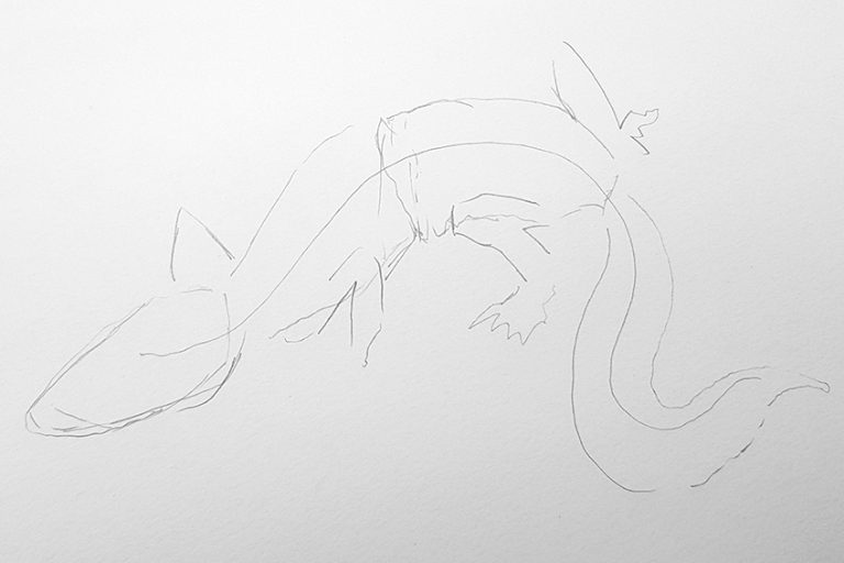 How to Draw a Lizard – Create a Realistic Lizard Drawing