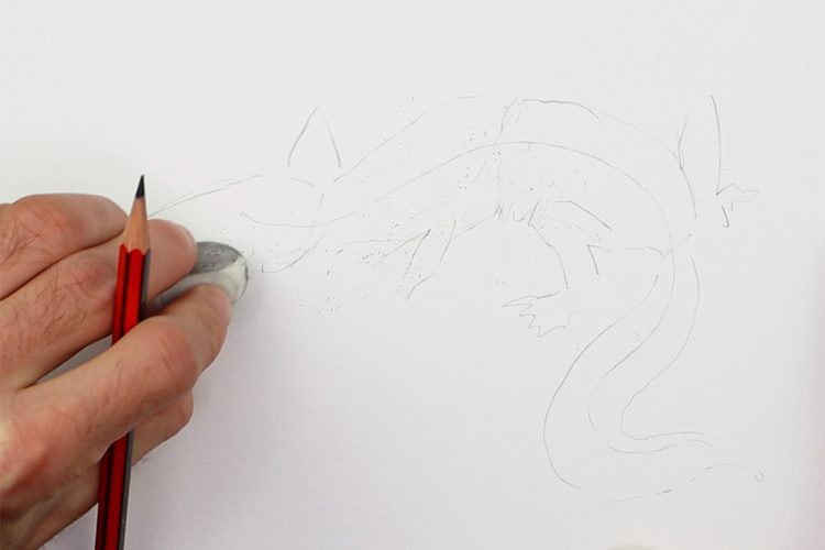 How to Draw a Lizard – Create a Realistic Lizard Drawing