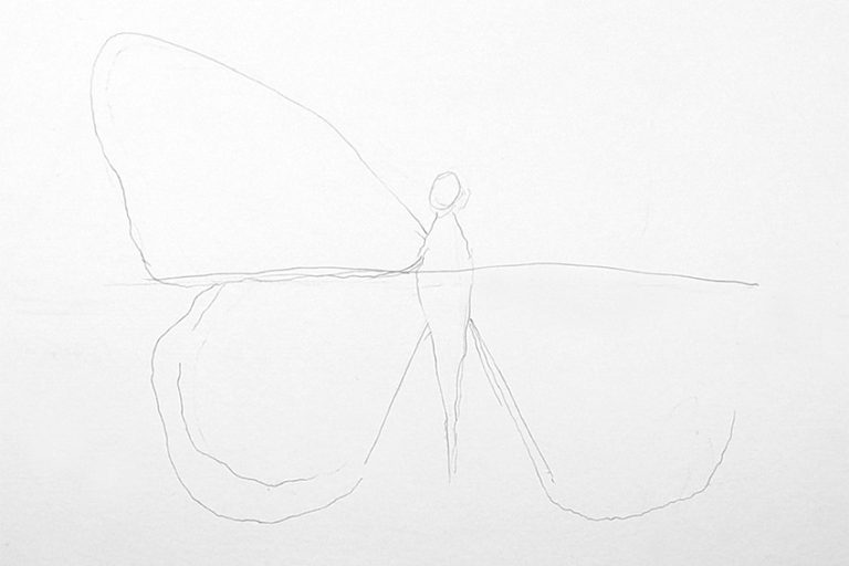 How to Draw a Monarch Butterfly – Realistic Drawing Tutorial