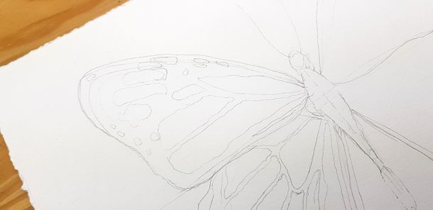 How to Draw a Monarch Butterfly – Realistic Drawing Tutorial