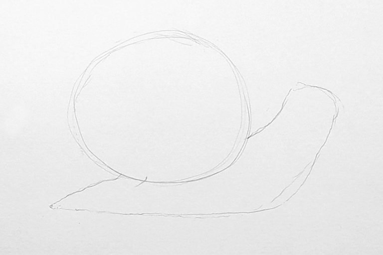 How to Draw a Snail – A Realistic Snail Drawing Tutorial