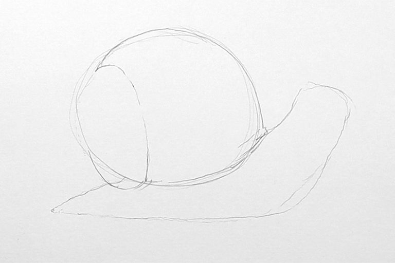 How to Draw a Snail – A Realistic Snail Drawing Tutorial