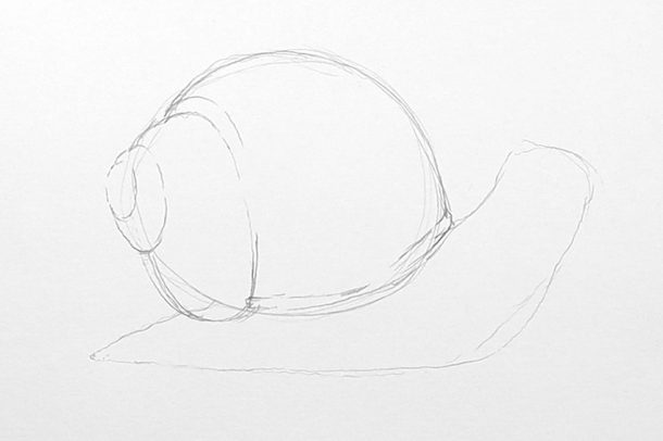 How to Draw a Snail – A Realistic Snail Drawing Tutorial