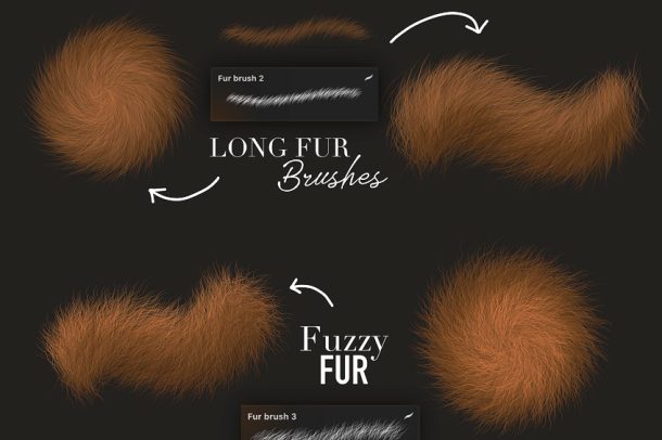 Fur Brush for Procreate - The Best Fur Brushes for Procreate