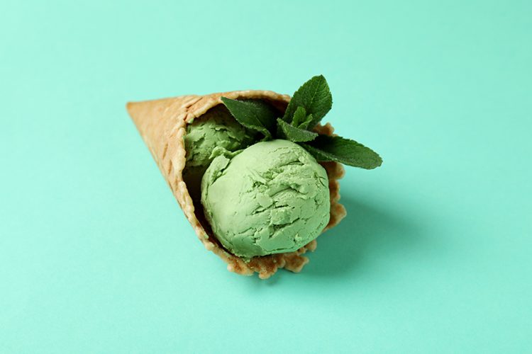 Mint Green Color – How to Create a Mint Color Palette