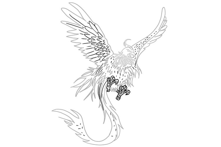 How to Draw a Phoenix - Beautiful Phoenix Illustration Guide
