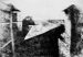 Famous Photos - 31 Must-See Historic Photographs