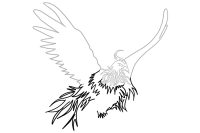 How to Draw a Phoenix - Beautiful Phoenix Illustration Guide